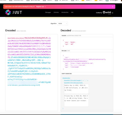 Working with Salesforce Data Cloud APIs – App Cloud 101